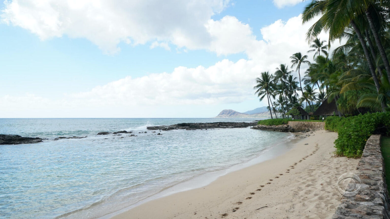 Magnum PI, Beach background for your Online Meetings
